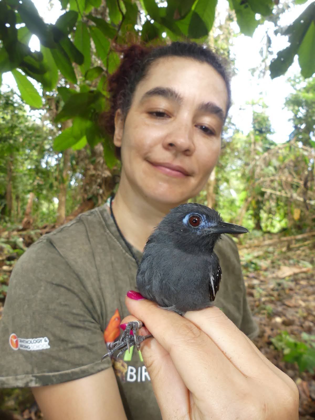 Chocó Bird Observatory – Bird Observatory Network